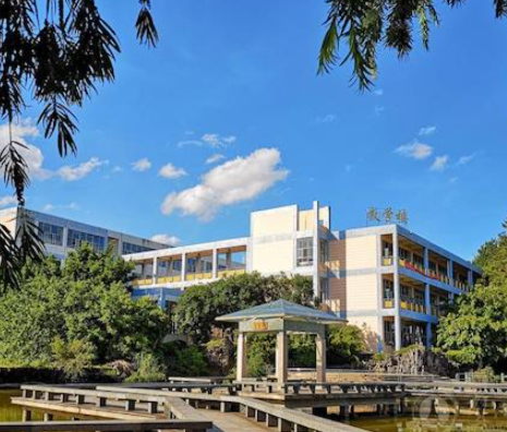 Are There Scholarships Available for International Students at Hezhou ...